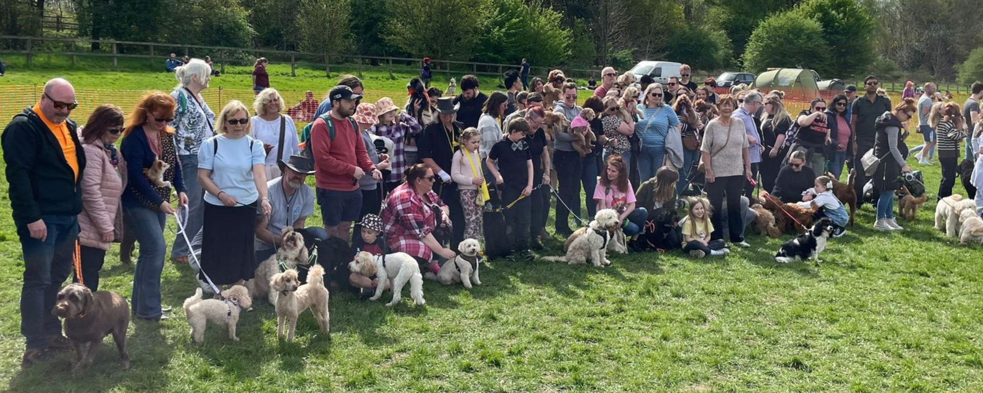 Breed Meet Ups - All About Dogs Show
