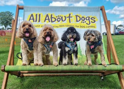 What’s On - All About Dogs Show